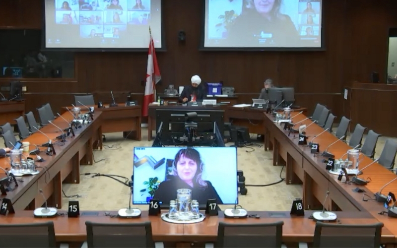 Protection Of Communities And Exploited Persons Act Review